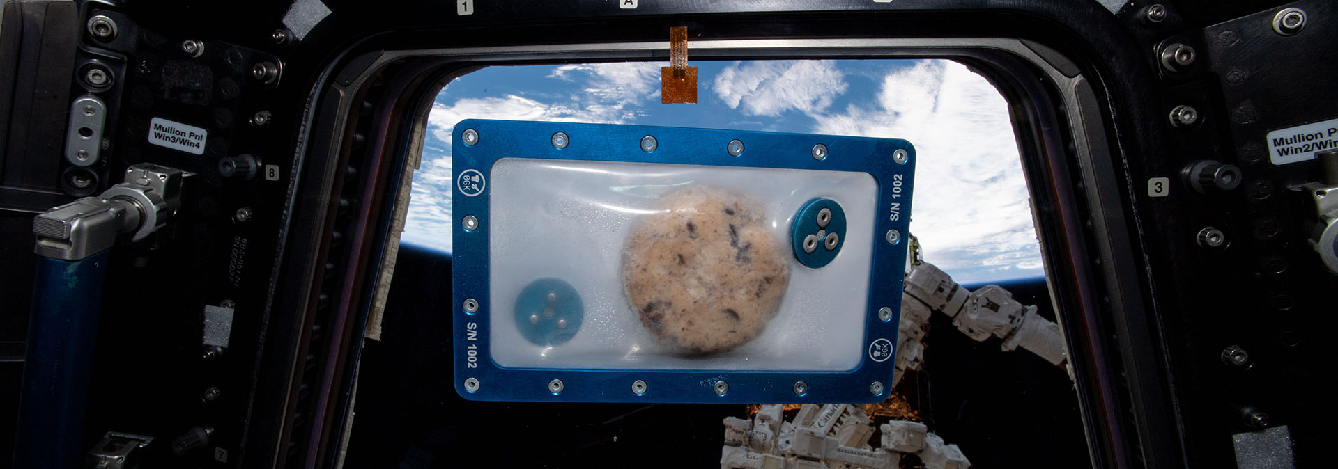 DoubleTree by Hilton Chocolate Chip Cookies to be Baked in Space
