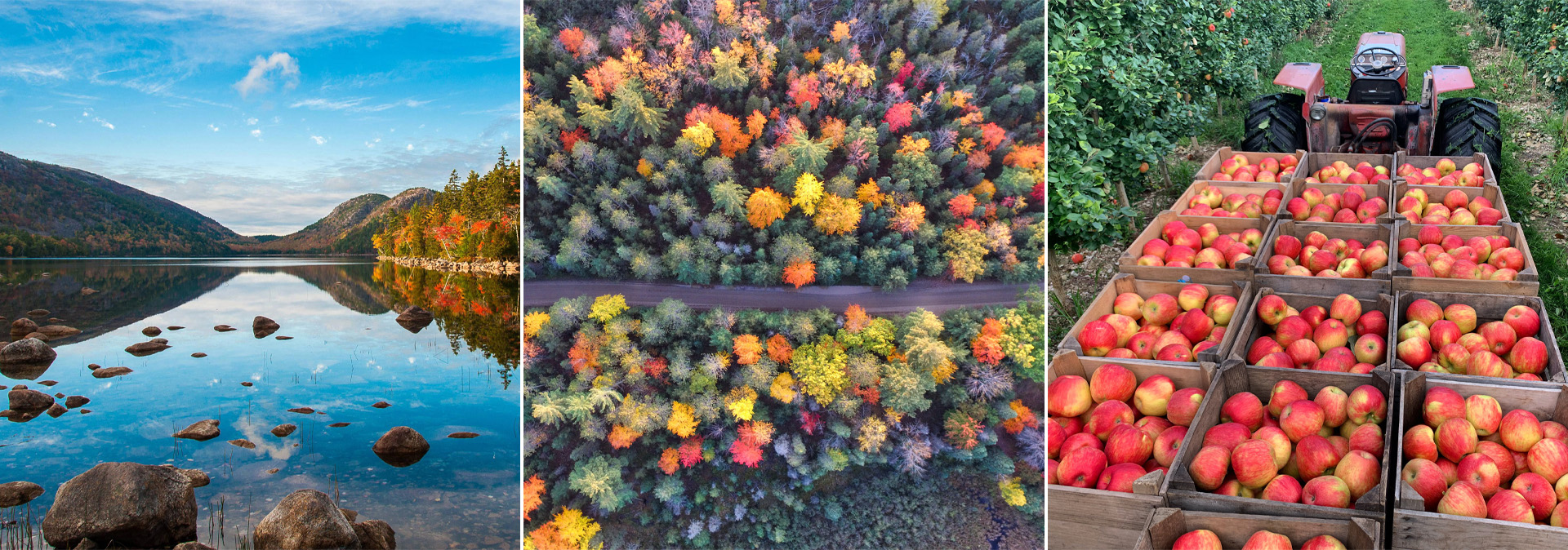 Northeastern Fall: Leaves, Food Festivals & Scares