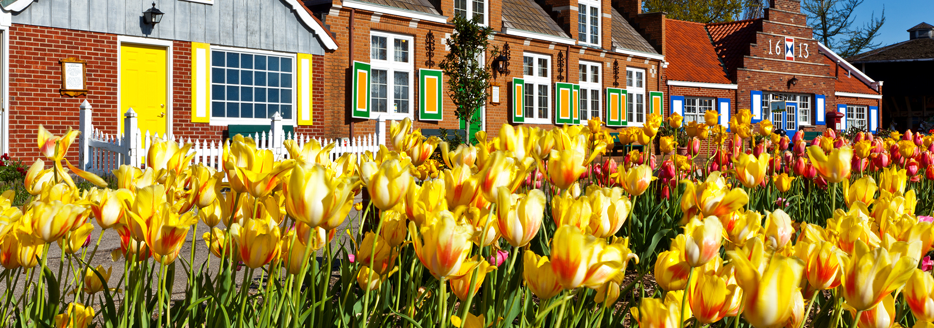 Colorful Getaways to Fragrant Flower Festivals